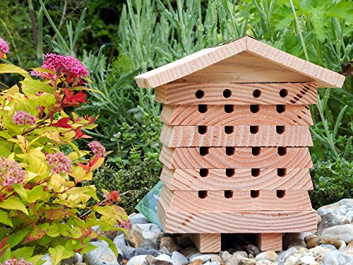 Wildlife World Interactive Wooden Bee House - Pollinator Bee Management System