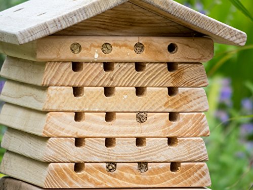 Wildlife World Interactive Wooden Bee House - Pollinator Bee Management System