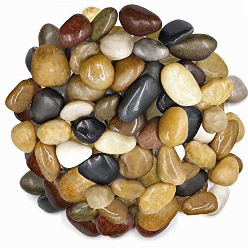 Polished Colored Stone Pebbles 10 Lb. 1â â 2â inch Pebbles for Plants, Fairy Gardens, DĂŠcor, Landscaping, Succulent, Terrarium, Decorative, 100% Natural Colorful Stone Pebbles, Multicolored Rocks