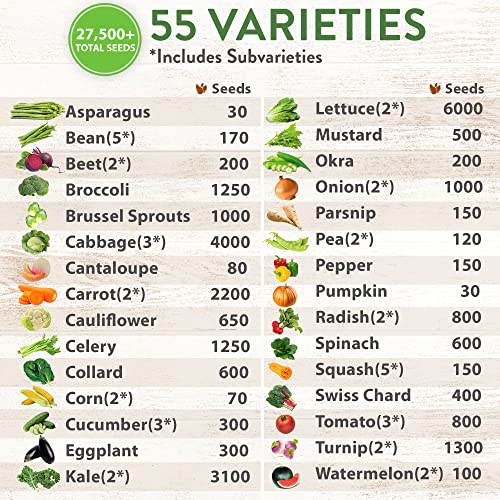 55 Heirloom Vegetable Seeds | 27,500+ Non GMO Garden Seed Variety Pack | Gardening Seeds for Planting Vegetables and Fruits, & Lettuce | Prepper Supplies | Survival Gear | Spring, Summer, Fall