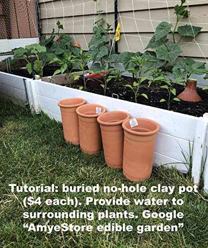 Root Vegetable Seeds for Planting Vegetables and Fruits,Non-GMO Heirloom Vegetable Seeds Vegetables Seeds at Home Vegetable Garden and Hydroponics Seed Pods (600ct Danvers Carrot Seeds, 1 Gram)