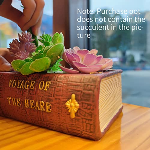 Aygrün Succulent Pots, Cute Resin Animal Flower Planters Decorations, 4 Inches, Creative Pot for Sempervivum with Drainage, Gift for Women, Man, Office and Garden Decor Book, 5.5″x4.0″x2.2″