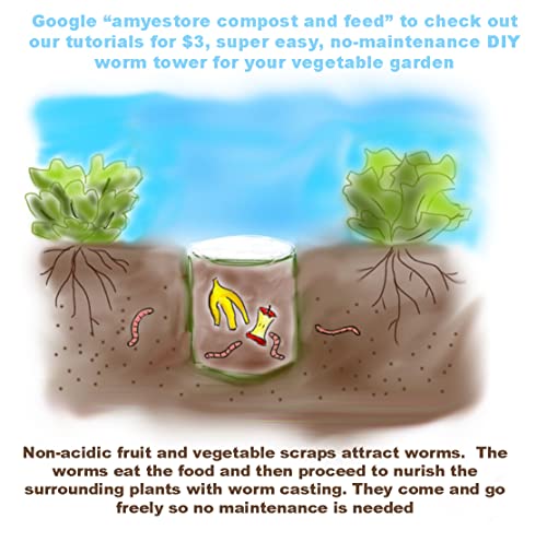 Root Vegetable Seeds for Planting Vegetables and Fruits,Non-GMO Heirloom Vegetable Seeds Vegetables Seeds at Home Vegetable Garden and Hydroponics Seed Pods (600ct Danvers Carrot Seeds, 1 Gram)