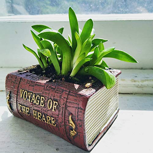 Aygrün Succulent Pots, Cute Resin Animal Flower Planters Decorations, 4 Inches, Creative Pot for Sempervivum with Drainage, Gift for Women, Man, Office and Garden Decor Book, 5.5″x4.0″x2.2″