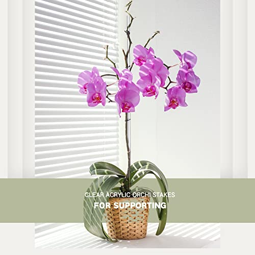 30 Pcs 15.6 Inch Acrylic Plant Stakes Garden Stakes Clear Orchid Stakes Clear Plant Sticks Potted Plant Support Stakes for Supporting Vines Grow Upright