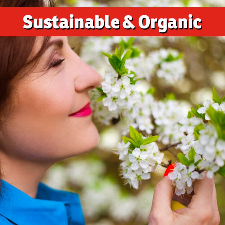 I Must Garden Soil Sulfur Pellets: Organic Soil Acidifier | Naturally Promotes Lush Growth β 5lb Shaker Jar