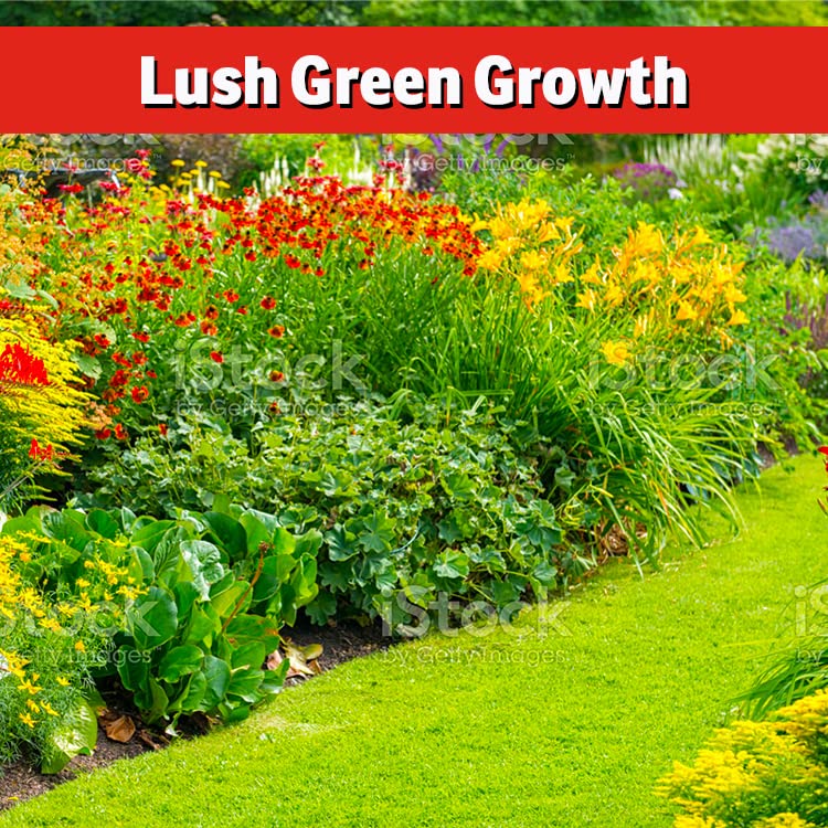 I Must Garden Soil Sulfur Pellets: Organic Soil Acidifier | Naturally Promotes Lush Growth β 5lb Shaker Jar