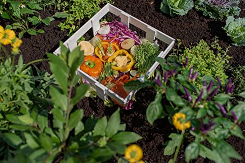 Vita Classic 4 Foot x 4 Foot x 22 inch Keyhole Garden Bed with Composting Basket, White, PVC, BPA and Pthalate Free, VT17101
