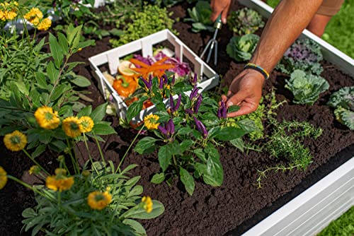 Vita Classic 4 Foot x 4 Foot x 22 inch Keyhole Garden Bed with Composting Basket, White, PVC, BPA and Pthalate Free, VT17101