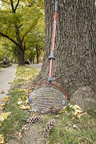 Garden Weasel Nut Gatherer 95404 - Large Nut Gatherer - Yard Roller - Picks up Walnuts, Small Fruits, Sweet Gum Balls, and Magnolia Seeds from 1.5β to 3β