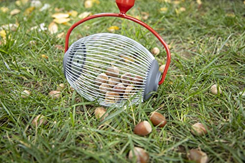 Garden Weasel Nut Gatherer 95404 - Large Nut Gatherer - Yard Roller - Picks up Walnuts, Small Fruits, Sweet Gum Balls, and Magnolia Seeds from 1.5β to 3β
