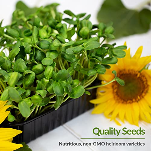 Survival Garden Seeds Microgreens 10 Pack - Instructions to Plant, Sprout, and Grow a Mix of Microgreen Plants - Arugula, Broccoli, Radish, Pea, Sunflower, Basil, Cabbage, Buckwheat, Kale, Beet Seed