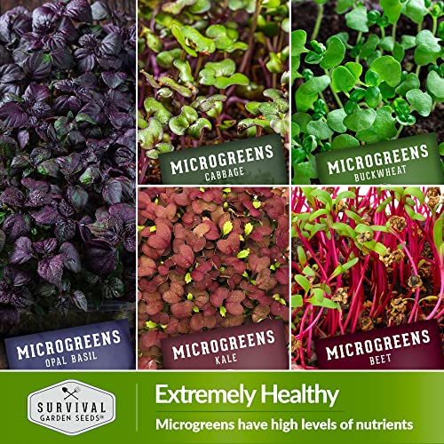 Survival Garden Seeds Microgreens 10 Pack - Instructions to Plant, Sprout, and Grow a Mix of Microgreen Plants - Arugula, Broccoli, Radish, Pea, Sunflower, Basil, Cabbage, Buckwheat, Kale, Beet Seed