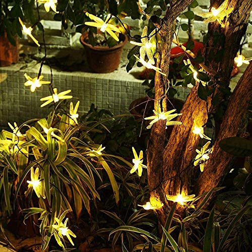 ASFSKY Solar Dragonfly Lights Outdoor 50 LED Dragonfly Lights Waterproof Decorative Lights String Dragonfly Yard Lights Solar Decorative Garden Warm White