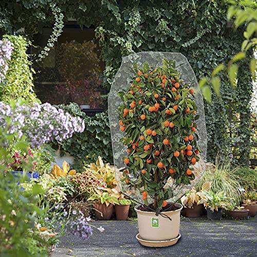 Alpurple 2PCS 4.6 x 3.9 ft Garden Plant Netting Mesh Barrier Bags-Fruit Tree Net with Drawstring-Tomato Plant Protective Netting Cover for Protect Plant Fruits Citrus Flower from Insect Bird Eating