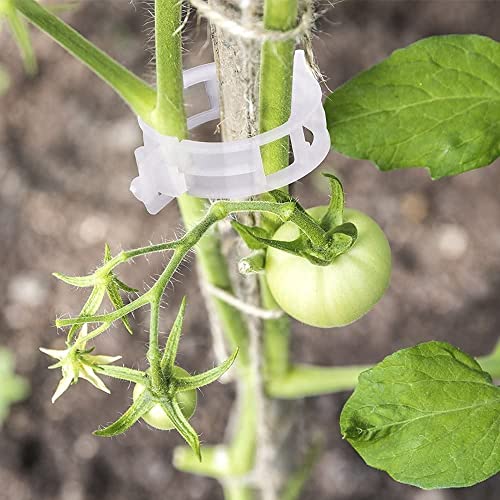 300 Pcs Plant Support Clips,Plant Clips for Climbing Plants Tomato GardenĀ Vine Clips for Supporting Vegetables Plants Stalks,Vines,Climbing Plant Tomato Trellis Clips (White)