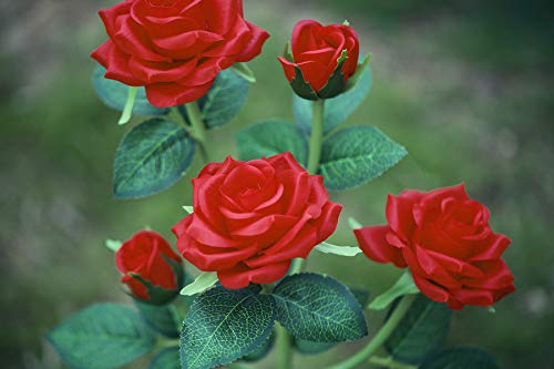 XLUX Outdoor Solar Powered Rose Lights, Decorative Flower lamp, for Garden Yard Patio Pathway Lighting, Rainproof, Red 2 Pack