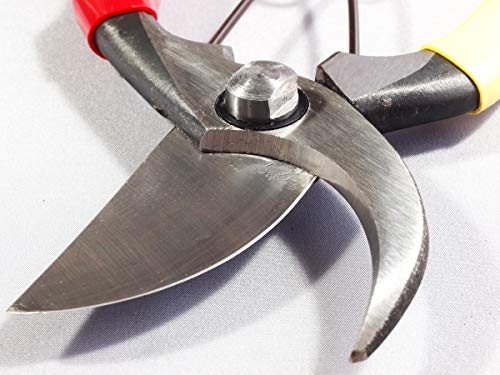 Tobisho Pruning Shears SR-1 200mm Bonsai