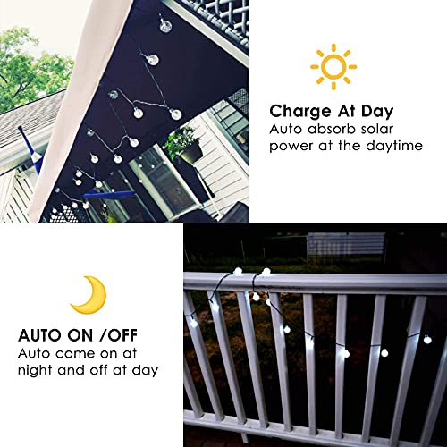 White 2-Pack 100 LED 64FT Crystal Globe Solar String Lights Outdoor, Waterproof Solar Lights Outdoor Decorative, 8 Lighting Modes Solar Powered Patio Lights for Garden Christmas Wedding Party (White)