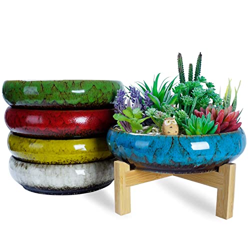 Succulent Pots - Large Succulent Planters Pots with Drainage, 10 Inch Ceramic Bonsai Pot with Stand Round Shallow Planter for Indoor/Outdoor Plants Decorative Garden Cactus Flower Container Bowl
