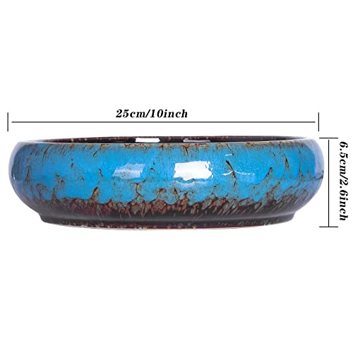 Succulent Pots - Large Succulent Planters Pots with Drainage, 10 Inch Ceramic Bonsai Pot with Stand Round Shallow Planter for Indoor/Outdoor Plants Decorative Garden Cactus Flower Container Bowl