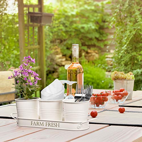 Herb Pots with Tray Set, Indoor Herb Planter, Farmhouse Inspired Decorative Herb Garden Planter with Drain Holes for Healthy Plants, Ideal for Indoor Windowsill