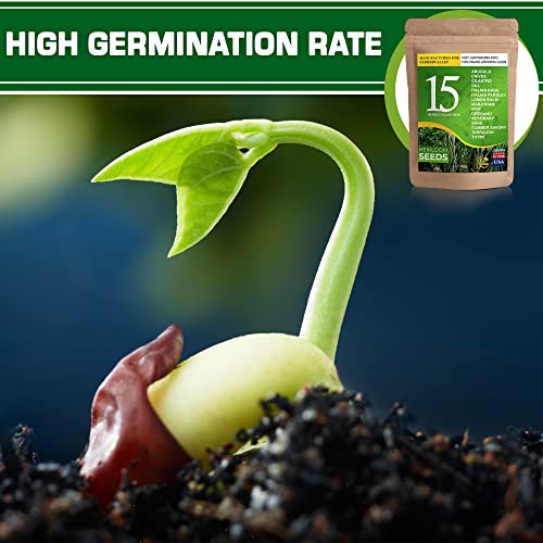 15 Culinary Medicinal Herb Seeds Pack for Planting Indoors and Outdoors - 100% Heirloom, USA Grown, Non GMO - Good for Hydroponic Garden - Arugula, Chives, Cilantro, Italian Basil, Parsley, and More