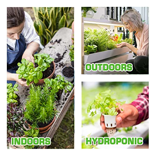 15 Culinary Medicinal Herb Seeds Pack for Planting Indoors and Outdoors - 100% Heirloom, USA Grown, Non GMO - Good for Hydroponic Garden - Arugula, Chives, Cilantro, Italian Basil, Parsley, and More