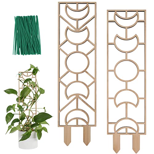 WellSign Garden Plant Trellis for Climbing Plants Indoor Pot, 16.3inch Small Wooden Trellis for Potted Plants with Moisture-Proof Layer for Vine Flower Support, Moon and Geometric Shape Design 2Pack
