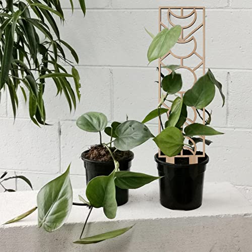 WellSign Garden Plant Trellis for Climbing Plants Indoor Pot, 16.3inch Small Wooden Trellis for Potted Plants with Moisture-Proof Layer for Vine Flower Support, Moon and Geometric Shape Design 2Pack