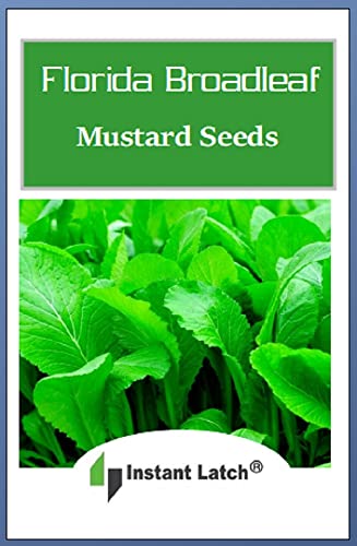 500 Florida Broadleaf Mustard Seeds | Non-GMO | Heirloom | Instant Latch Garden Seeds