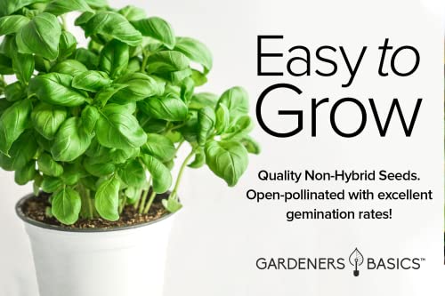 Basil Seeds for Planting Home Garden Herbs - 5 Variety Herb Pack Thai, Lemon, Cinnamon, Sweet and Dark Opal Basil Seeds Herb Seeds for Indoors, Outdoors, Hydroponics & Aquaponic by Gardeners Basics