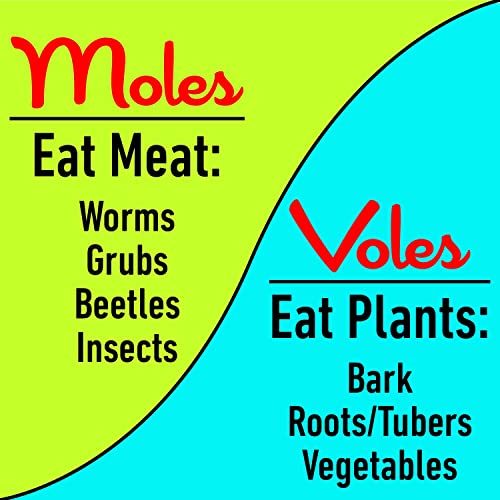 I Must Garden Mole & Vole Repellent Hose End Concentrate: Professional Strength β Twice The Coverage β All Natural Ingredients β 32oz