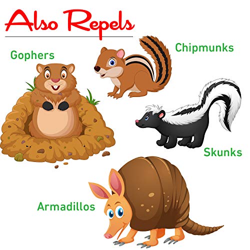I Must Garden Mole & Vole Repellent Hose End Concentrate: Professional Strength β Twice The Coverage β All Natural Ingredients β 32oz