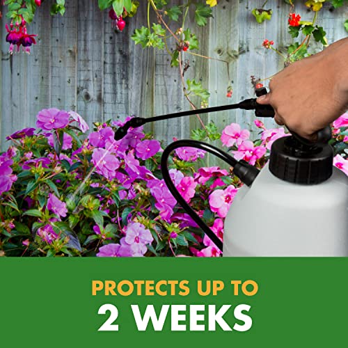 Spectracide Immunox Multi-Purpose Fungicide Spray Concentrate For Gardens 16 Ounces, Protects Up To 2 Weeks