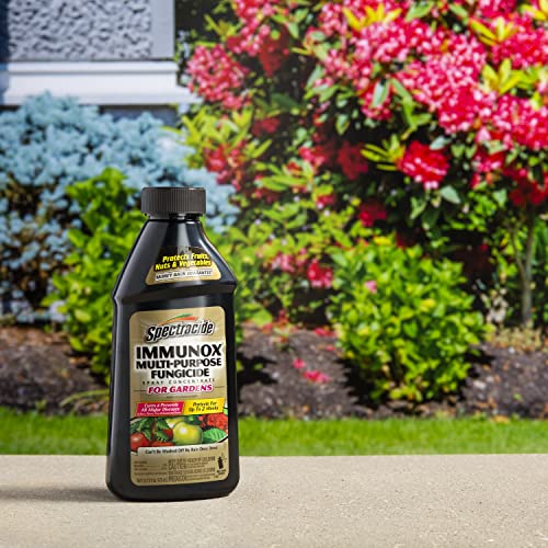 Spectracide Immunox Multi-Purpose Fungicide Spray Concentrate For Gardens 16 Ounces, Protects Up To 2 Weeks