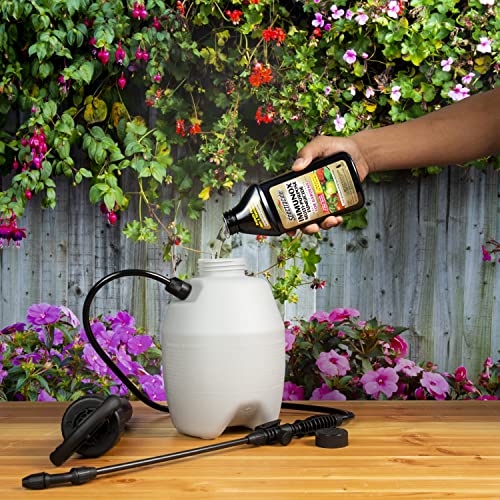 Spectracide Immunox Multi-Purpose Fungicide Spray Concentrate For Gardens 16 Ounces, Protects Up To 2 Weeks