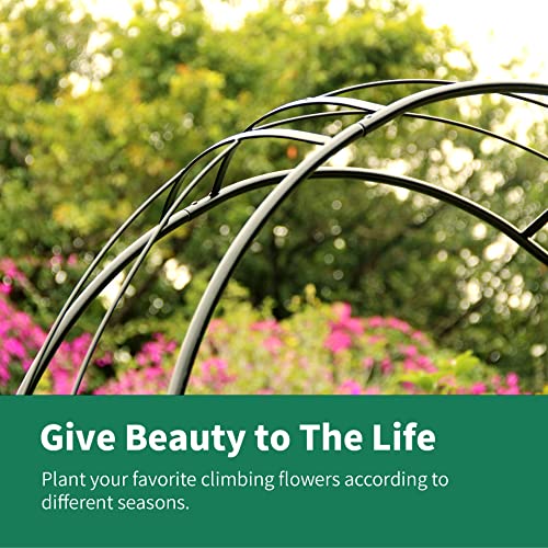 SCENDOR Wedding Arch Garden Arbor Curved Metal Durable Iron Garden Arch Trellis for Climbing Plants Outdoor Ceremony