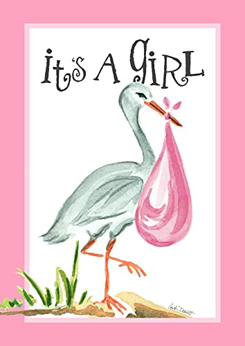 Toland Home Garden 1110215 It's a Girl Baby Girl Flag 12x18 Inch Double Sided Baby Girl Garden Flag for Outdoor House Gender Flag Yard Decoration
