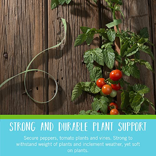 VELCRO Brand 90648 ONE-WRAP Garden Ties | Plant Supports for Effective Growing | Strong Grips are Reusable and Adjustable | Cut-to-Length, 75 ft x 1/2 in, Green-Recycled Plastic