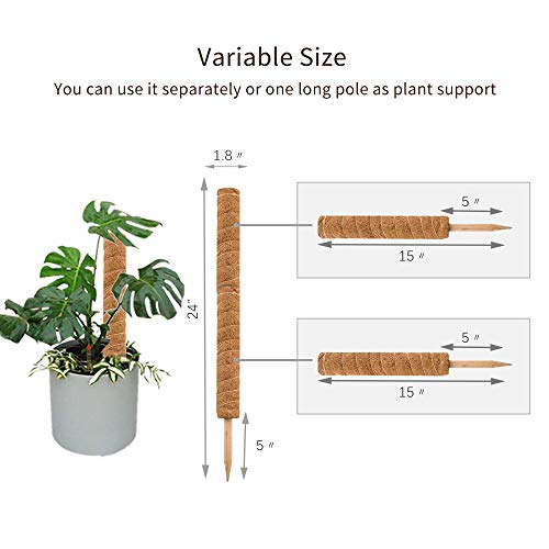 JOYSEUS 30 Inch Moss Pole for Climbing Plants - 2 Pack 15 Inch Coir Totem Pole Plant Support with 65 Feet Garden Twist Tie for Monstera and Potted Plants to Grow Upwards…