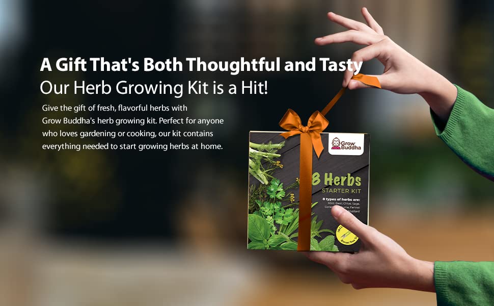 Grow Buddha herb Seeds Variety Pack, Your Own Gardening Kit – Easily Grow Your own herb Garden with Our Complete Beginner Friendly herb Seeds Starter Kit – Unique Gift Idea (8 Herbs Kit)