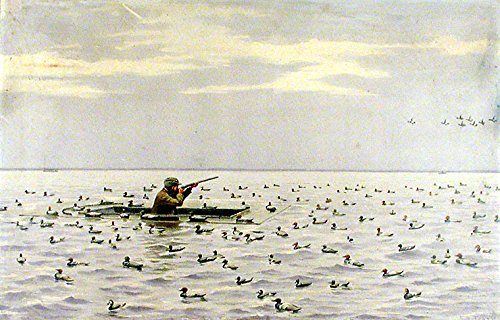 Duck Shooting from a Battery