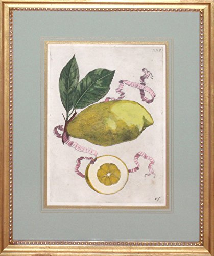 Plate 225: Limon Imperialis