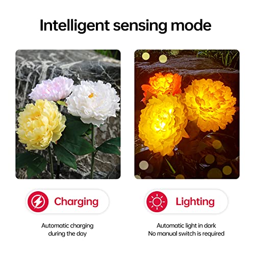 Cmskokm Outdoor Solar Garden Light Yard Decor Garden Decor Solar Flower Lamp Garden Decor Bigger Peony Flower Head Bigger Solar Panel Waterproof Solar Decorative Light for Garden Patio (3 per Box)