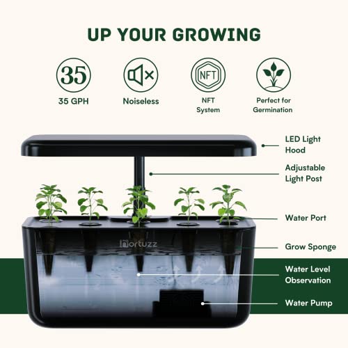 HORTUZZ Hydroponics Growing System, 8 Pods Indoor Herbs Garden with LED Grow Light for Plants, Smart Home Countertop Gardening for Lettuce Tea Cilantro Tomato Rosemary (Novo 8 Black)