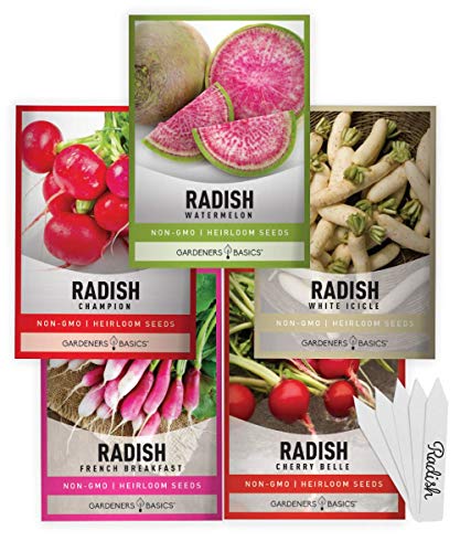Radish Seeds for Planting 5 Individual Packets - Watermelon, French Breakfast, Champion, Cherry Belle, White Icicle for Your Non GMO Heirloom Vegetable Garden by Gardeners Basics