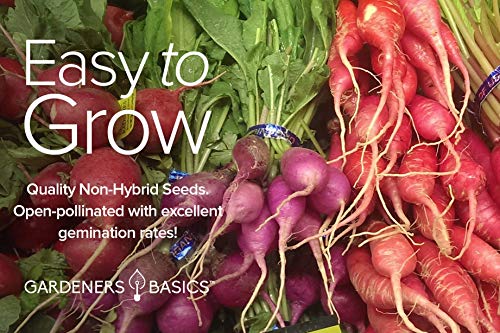 Radish Seeds for Planting 5 Individual Packets - Watermelon, French Breakfast, Champion, Cherry Belle, White Icicle for Your Non GMO Heirloom Vegetable Garden by Gardeners Basics