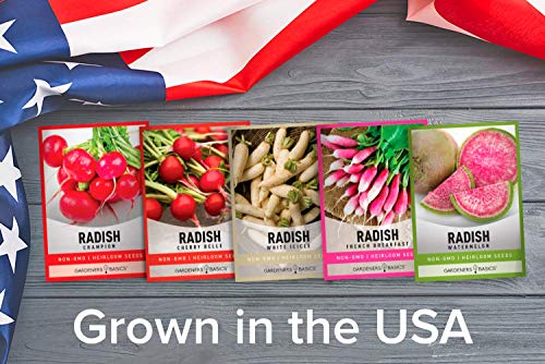 Radish Seeds for Planting 5 Individual Packets - Watermelon, French Breakfast, Champion, Cherry Belle, White Icicle for Your Non GMO Heirloom Vegetable Garden by Gardeners Basics