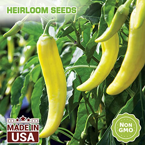 10 Sweet and Hot Pepper Seeds for Gardening Indoors & Outdoors - Non GMO Heirloom Pepper Seeds Variety Pack - Cayenne, Anaheim, California Bell & More